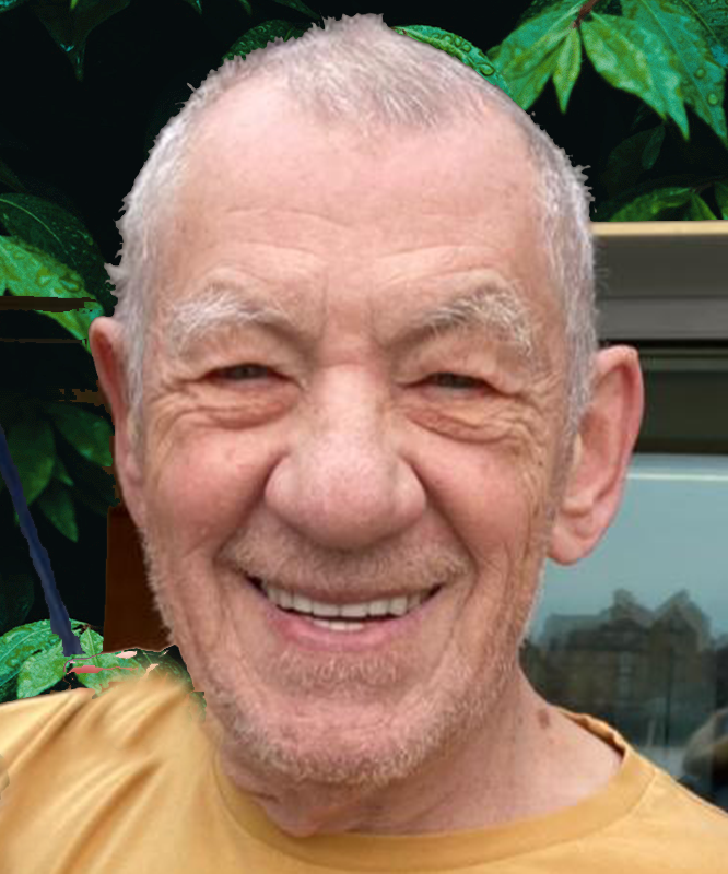 Homepage - Ian McKellen